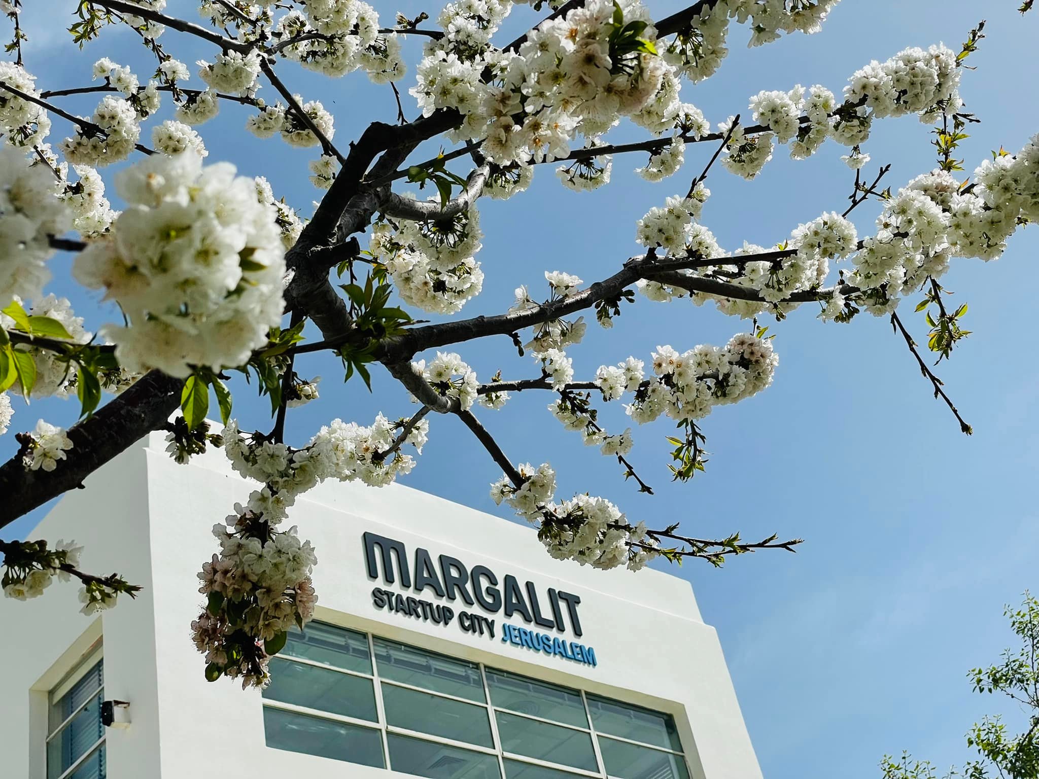 Margalit Startup City